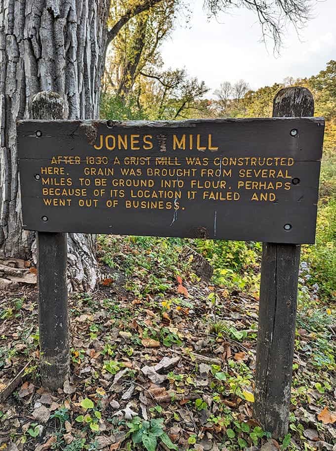 Jones Mill's historic marker tells the story of entrepreneurial dreams that didn't quite pan out, a humbling reminder for us all.