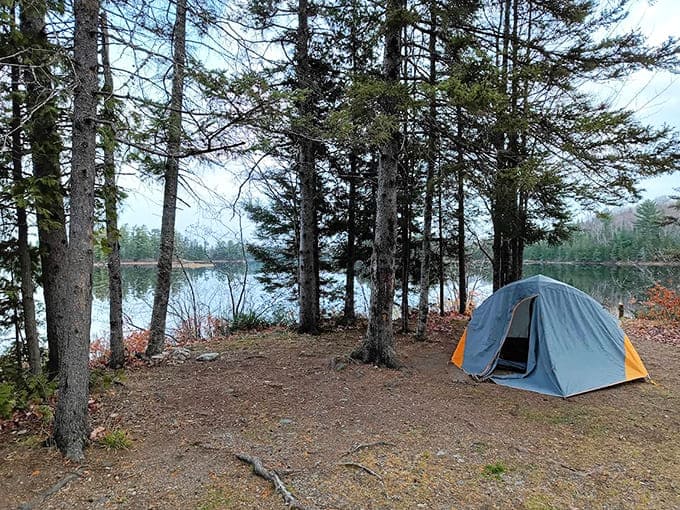 Backcountry campsites dot the shoreline, offering solitude and stars in exchange for carrying everything in on your back and leaving only footprints.