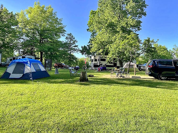 Morning light bathes the campground in golden possibility, where tents and RVs form a temporary community of nature enthusiasts.