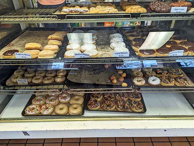 The display case lineup that's launched a thousand cravings, each variety calling your name with sugary siren songs.