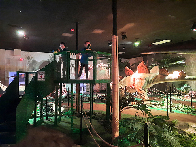 The elevated play platform offers a dinosaur's-eye view of the exhibits below &ndash; perfect for tiny humans with not-so-tiny imaginations.