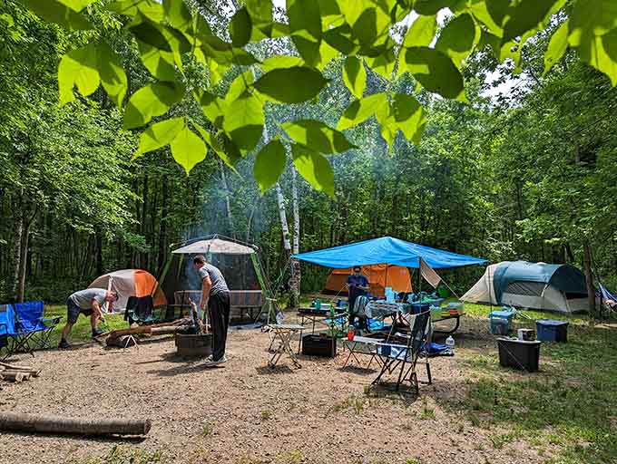 Camping here means your neighbors are trees instead of people, and the only noise complaints involve overly enthusiastic birds at dawn.