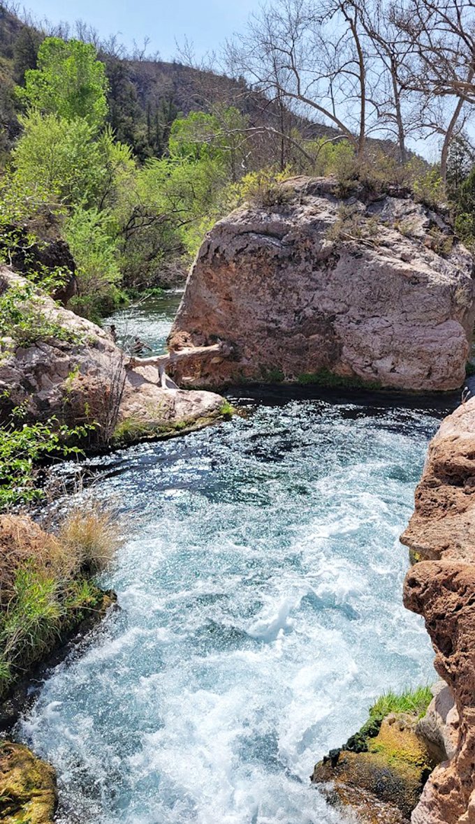 Fossil Creek's rushing waters: The lifeblood of this ecosystem surges between rocky banks &ndash; 20,000 gallons per minute of pure, mineral-rich Arizona magic.