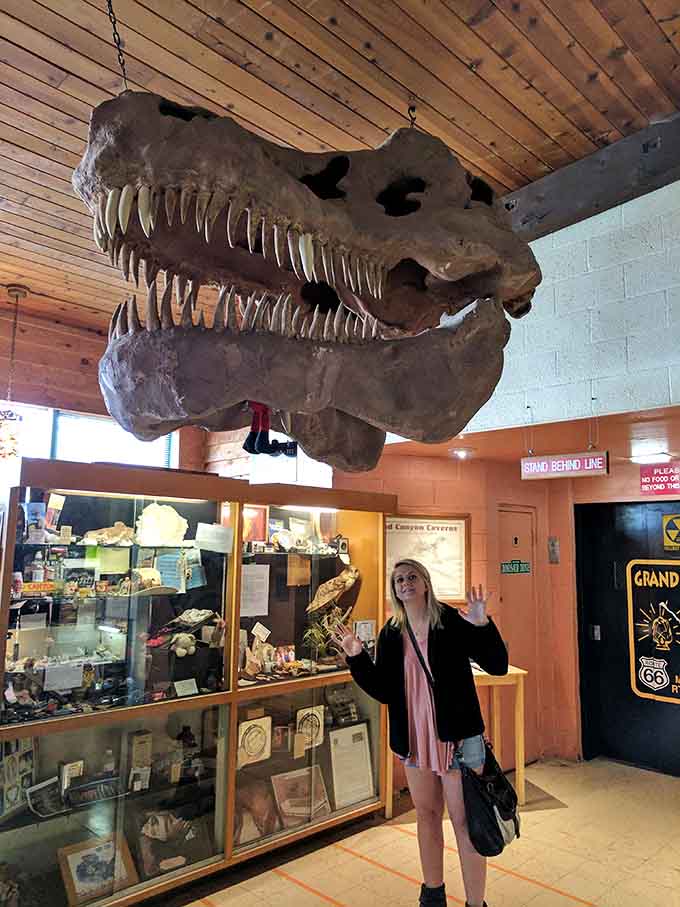 The visitor center features displays that prepare you for the underground journey, including this impressive dinosaur skull that demands selfies.