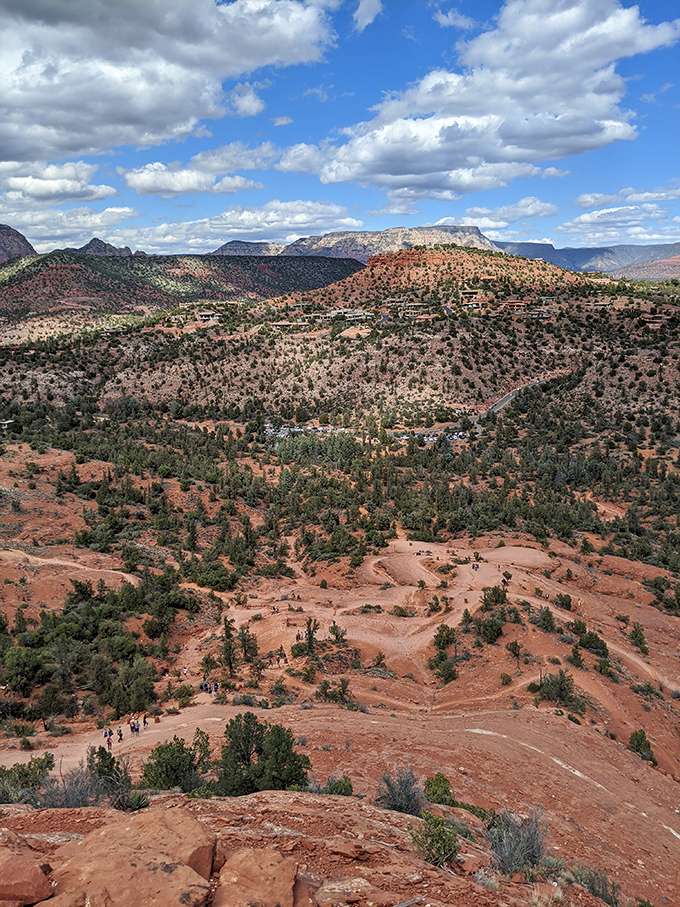 The bird's-eye perspective reveals hidden patterns in the landscape, nature's own abstract painting viewed from above.