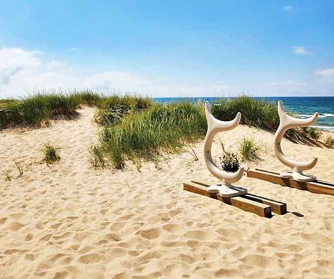 These aren't just decorative antlers &ndash; they're ingenious kayak racks inviting paddlers to explore Lake Michigan's pristine shoreline.