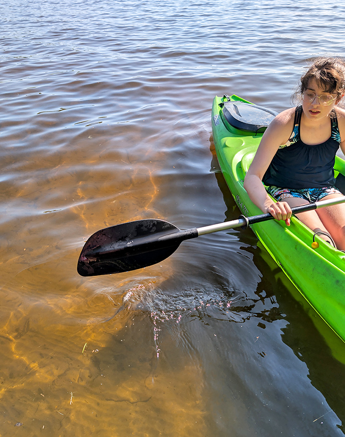 Kayaking offers a different perspective of the shoreline. Paddle your way to secluded coves and hidden viewpoints.