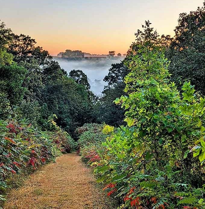 This misty valley view looks like something from a fantasy movie, minus the dragons and questionable CGI.