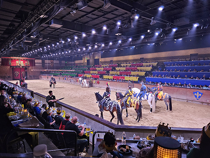Knights in full regalia demonstrate their horsemanship skills, the arena's sand floor cushioning the thundering hooves of their magnificent steeds.
