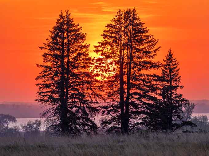 Silhouetted pines frame a sunset so spectacular it looks like nature showing off, painting the sky in oranges and purples that would make any artist weep with envy.