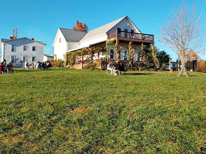 Even under cloudy skies, the vineyard maintains its allure &ndash; a testament to beauty that doesn't depend on perfect conditions to inspire.