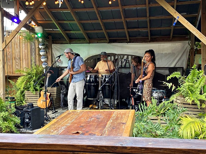 Live music transforms dinner into an experience, with local musicians providing the perfect soundtrack to your seafood feast.