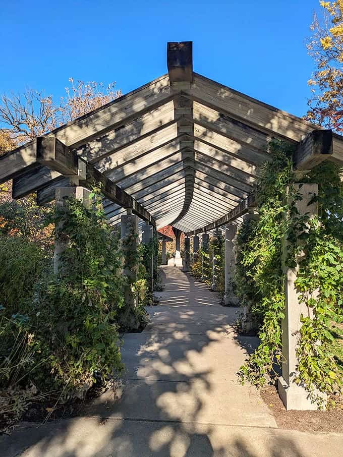 This elegant pergola garden offers a shaded retreat where you can rest your feet and contemplate the natural beauty surrounding you from every angle.