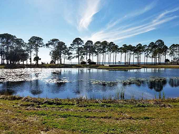 Tranquil waters mirror tall pines at sunset, creating the kind of natural symmetry that makes photographers reach for their cameras.