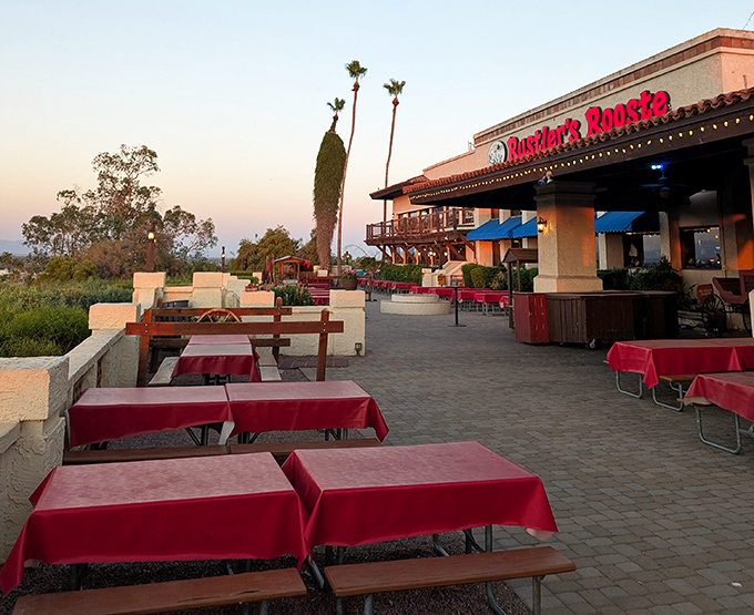 The outdoor patio offers sunset views that explain why people move to Arizona despite knowing what 115 degrees actually feels like.
