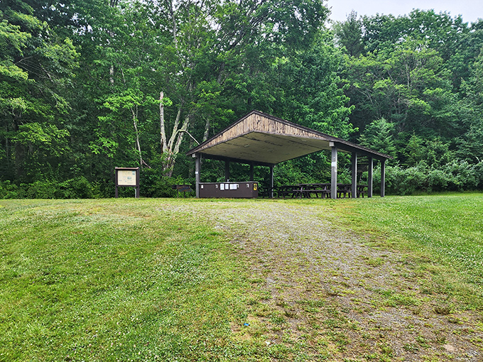 The humble picnic shelter – where countless birthday celebrations, family reunions, and first dates have unfolded.