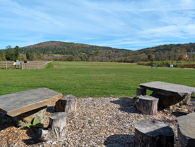 The landscape opens up to reveal Vermont's characteristic rolling hills, offering visitors a moment of peaceful contemplation between farm activities.