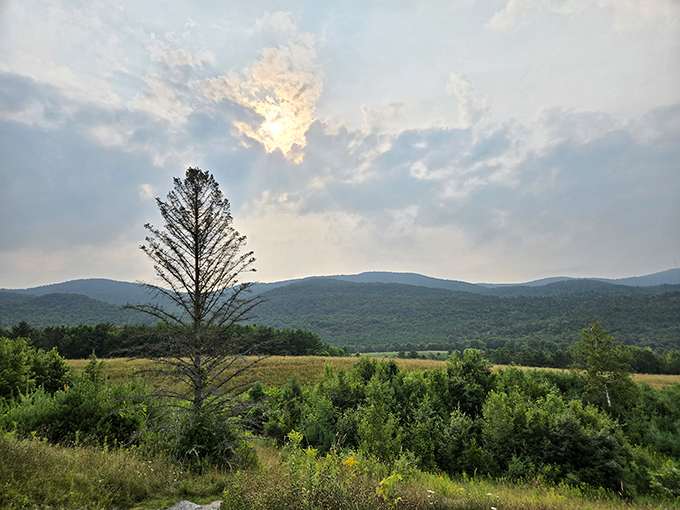 The Taconic Mountains unfold in layers of blue-green majesty, creating a backdrop that changes with every passing cloud and season.