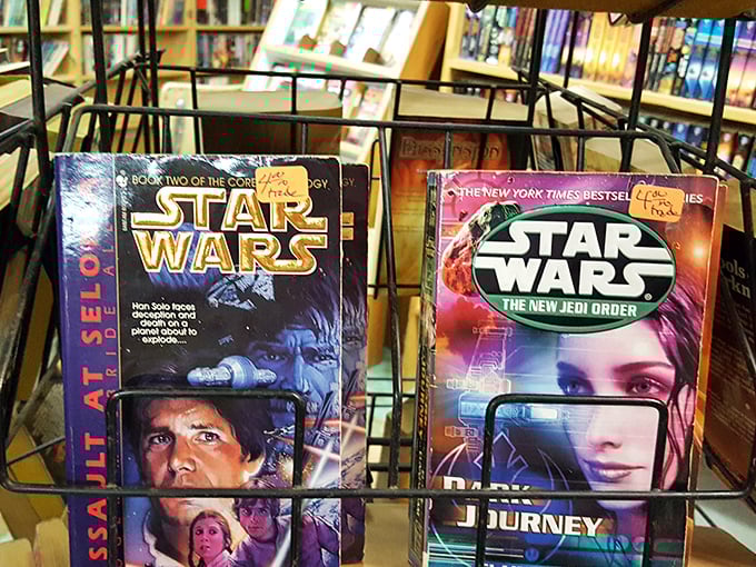 Star Wars novels from various eras sit ready to transport fans to that galaxy far, far away.