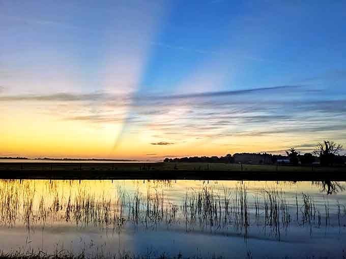Day's end masterpiece &ndash; Sunset transforms Balm Boyette's waters into liquid gold, a daily show that never requires tickets.