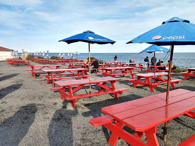 Bright red picnic tables dot the outdoor seating area, where ocean breezes and stunning vistas enhance every bite.