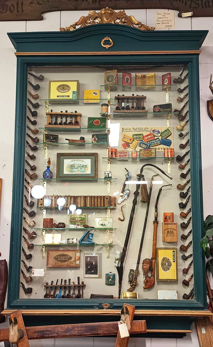 A tobacco pipe collection showcasing when smoking accessories were crafted with the same care as fine jewelry, minus the health warnings.