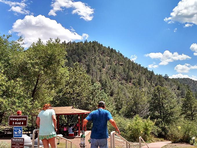 Hiking trails offer breathtaking vistas of the Mogollon Rim country, where every overlook feels like discovering Arizona anew.