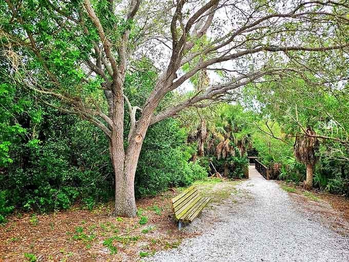 This humble bench offers the best seat in nature's theater, where the show changes hourly and no two performances are ever the same.