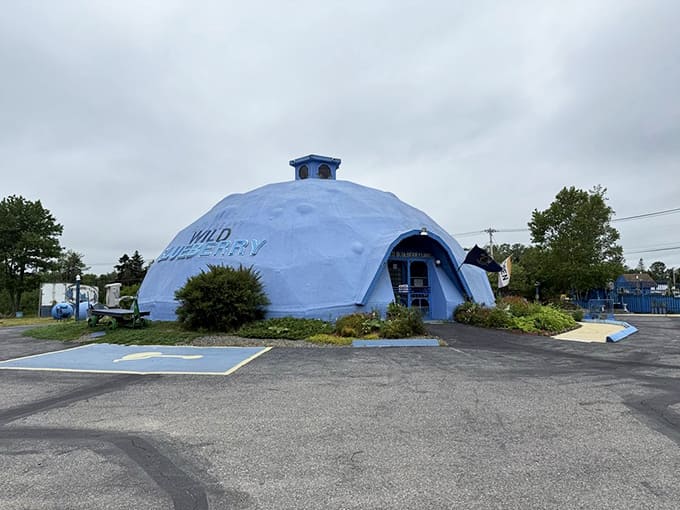 The exterior view shows the full glory of this roadside attraction that's become a Downeast Maine institution.