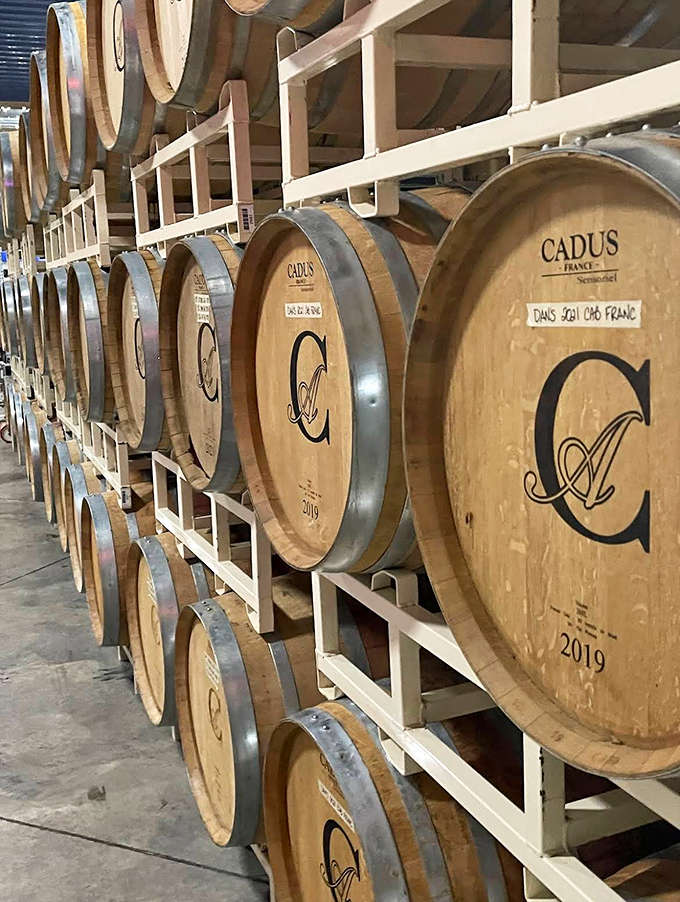 These wooden sentinels patiently hold aging wine, each barrel developing complex flavors that will eventually grace your glass.