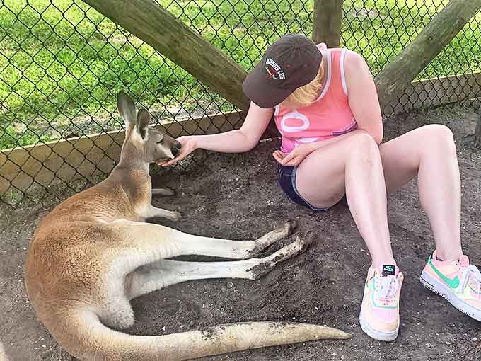 The mutual contentment is evident as visitor and kangaroo share a quiet moment, bridging the gap between our world and theirs.