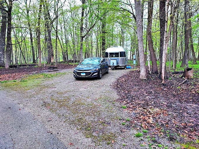 Camping with a travel trailer: all the joys of sleeping outdoors with the luxury of not actually sleeping on the ground.