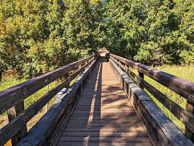 This wooden boardwalk invites exploration through verdant growth, a surprising oasis in the heart of red rock country.