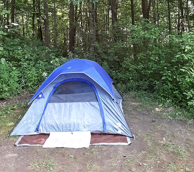 Simple pleasures: a blue tent nestled in dappled sunlight promises nights of stargazing and morning birdsong symphonies.