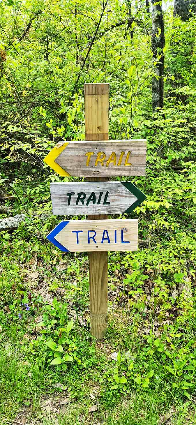 Trail markers pointing in three directions &ndash; nature's version of "Choose Your Own Adventure" without the disappointing endings some paths might have.