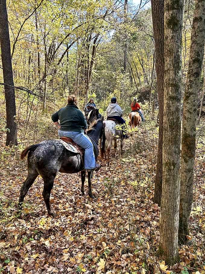 Horseback riding through autumn woods combines two classic activities into one experience that feels almost cinematic.
