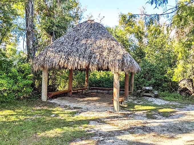 This thatched chickee hut offers welcome shade, a traditional Seminole design perfectly suited to Florida's subtropical climate.