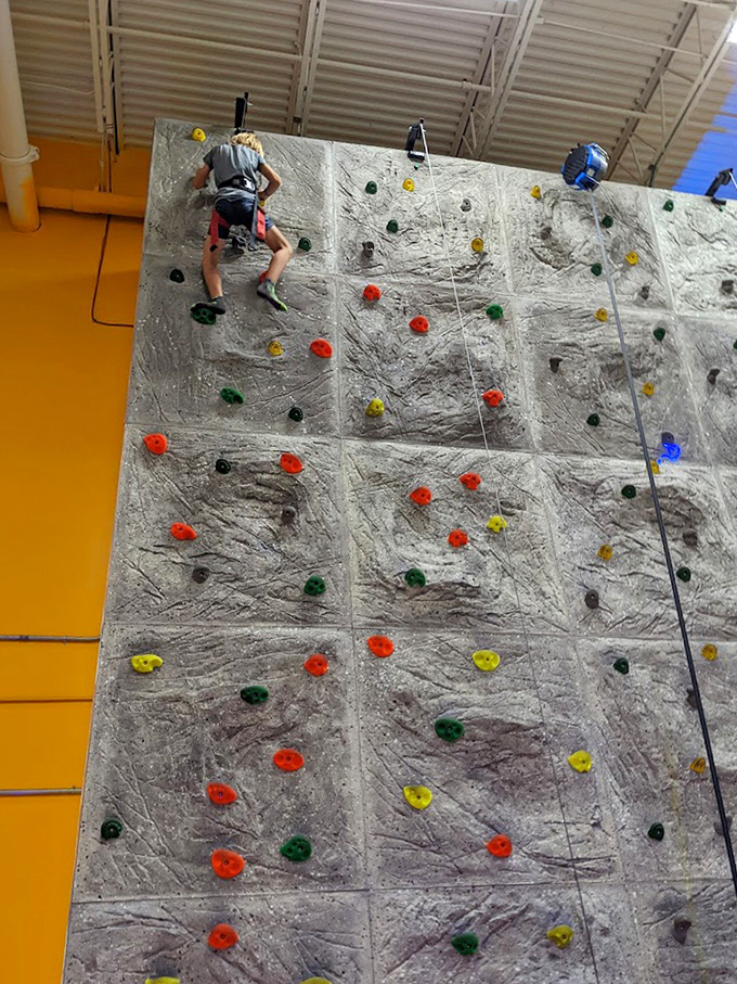 Spin-N-Win wheels tempt players with the age-old promise that this time, just maybe, the jackpot section isn't impossibly narrow.