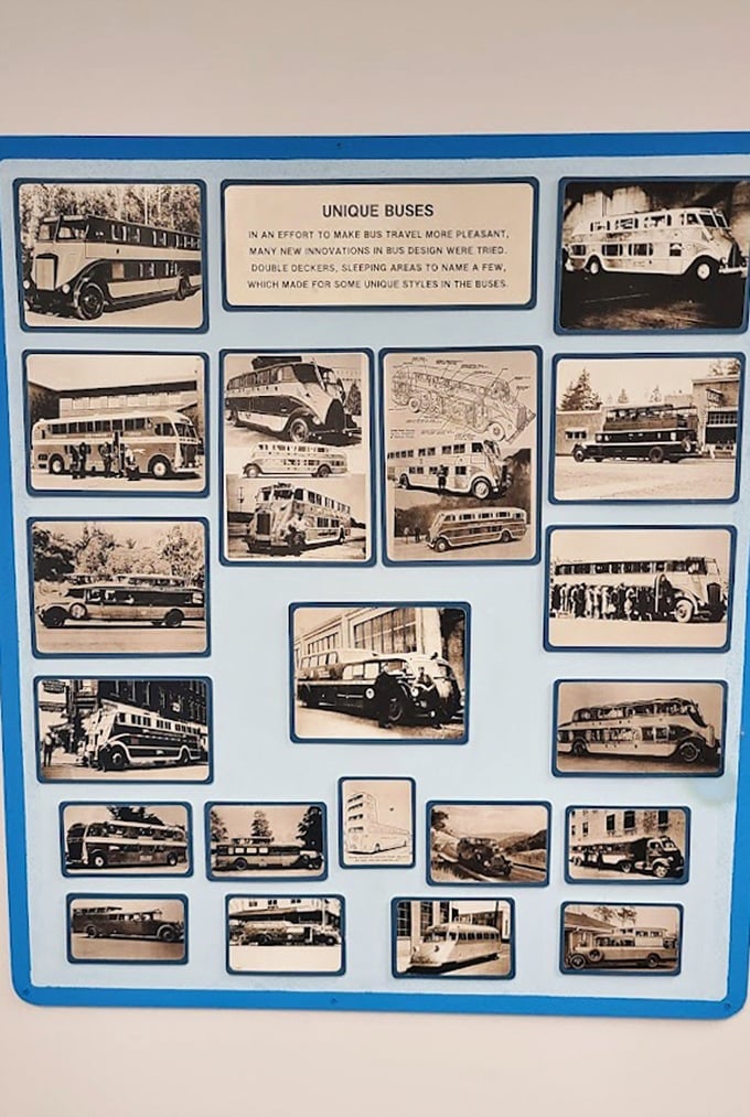 This fascinating display of unique bus designs shows how innovation shaped travel comfort long before heated seats and WiFi.