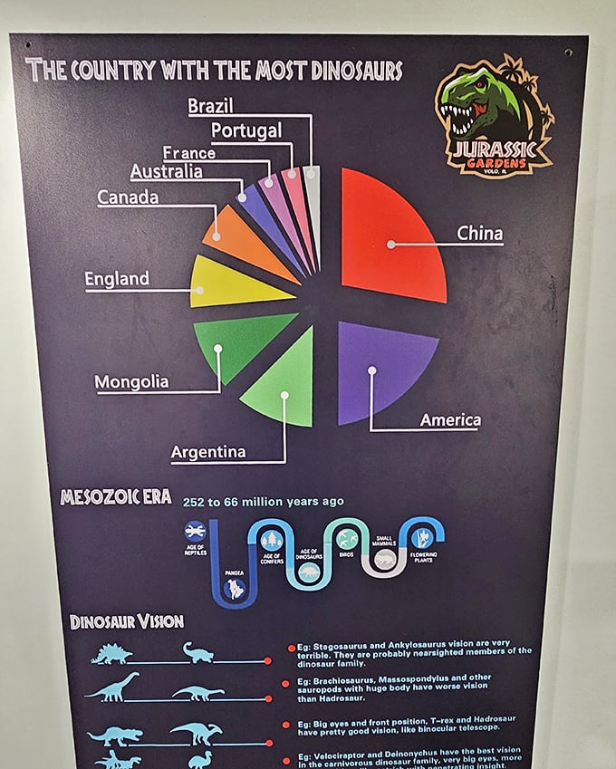 Educational displays break down fascinating dinosaur facts, making complex paleontology accessible and engaging for all ages.