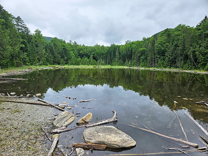 Hidden ponds near Willoughby offer quieter moments of reflection, where the only sounds are wind through leaves and occasional frog commentary.
