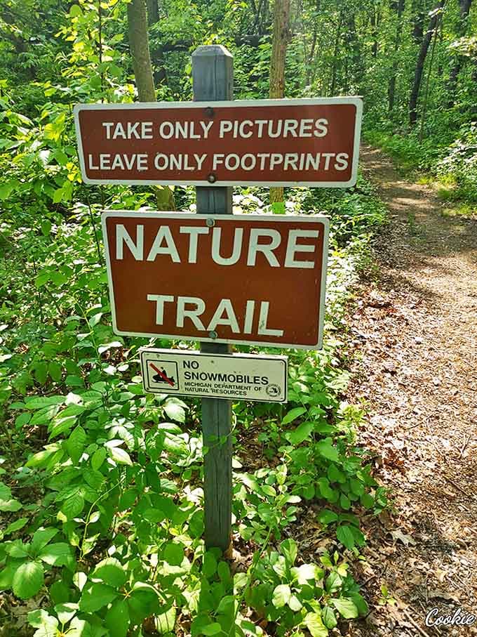 "Take only pictures, leave only footprints" – wisdom for the ages on this nature trail sign guiding responsible exploration.