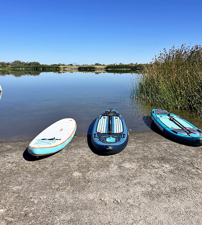 Paddleboards waiting patiently at water's edge, like colorful invitations to explore the lake's surface one gentle stroke at a time.