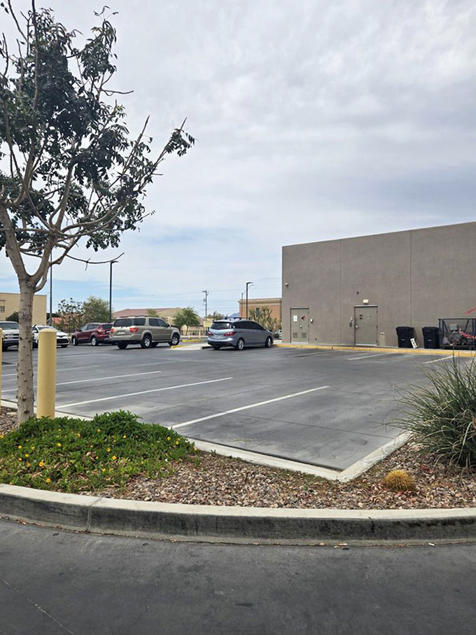 Plenty of space to park your vehicle before parking yourself in front of a plate of the best Mexican food Yuma has to offer.