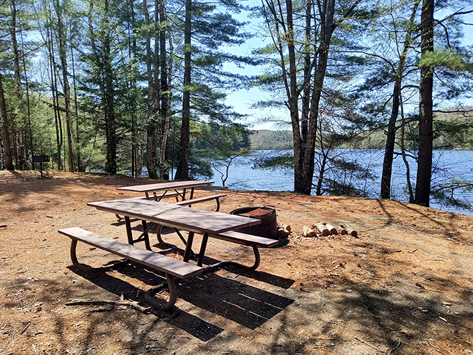 Lakeside lunch with a view: these picnic tables have hosted countless family memories and sandwiches with million-dollar scenery.