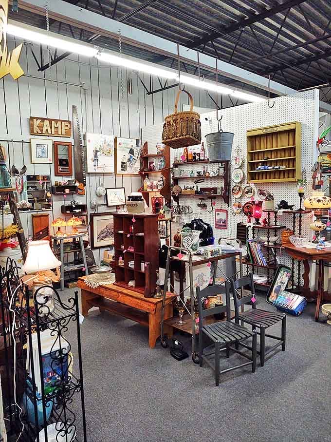 Every shelf holds potential discoveries, from vintage books to quirky figurines waiting for their forever homes.