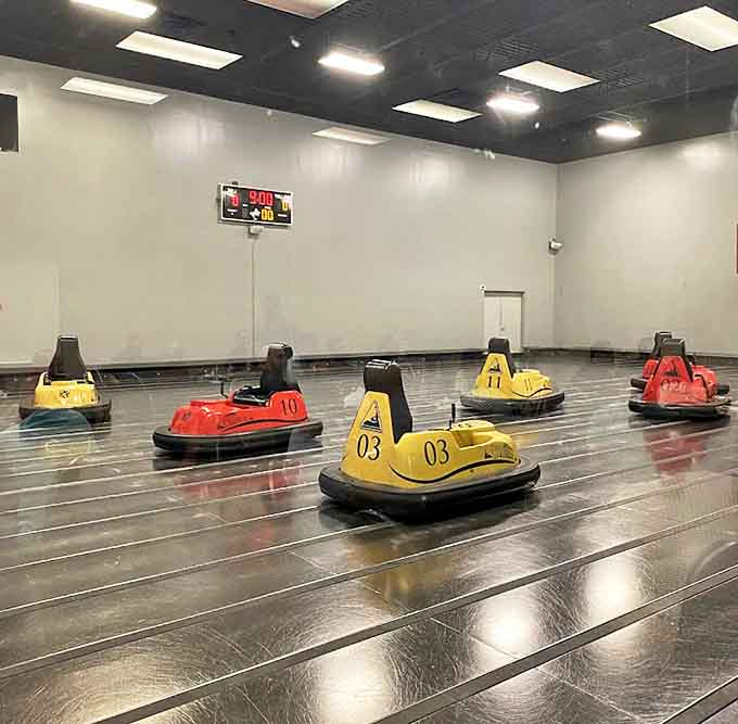Bumper cars sit ready for therapeutic collisions, where road rage becomes socially acceptable and everyone exits with slightly disheveled hair and considerably lighter spirits.