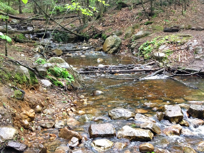 The brook's gentle journey before its dramatic plunge&mdash;like the calm opening act before the headliner takes the stage.