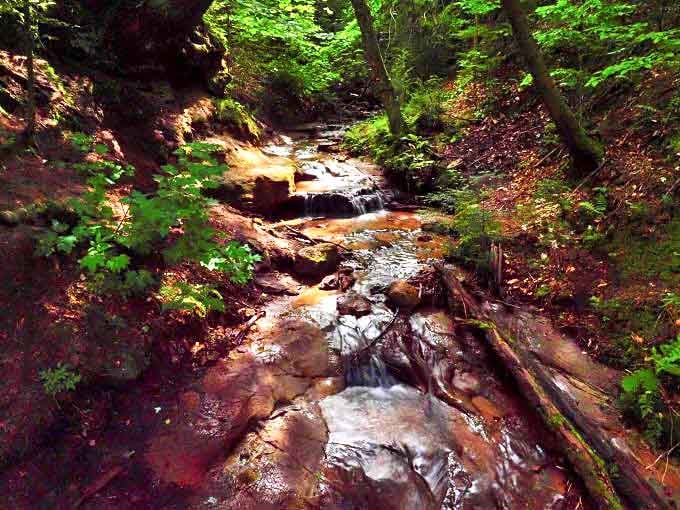 The rocky streambed creates nature's own musical instrument, with water composing different melodies depending on the season and rainfall.