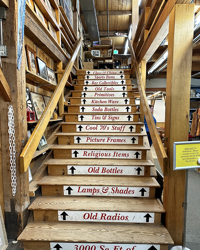 The world's most helpful staircase offers a roadmap to nostalgia, with each step promising new categories of "remember when" moments.